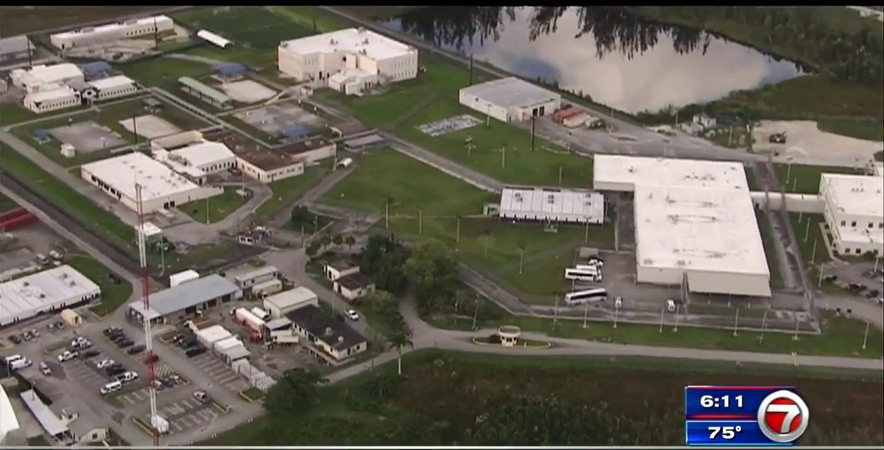 2 ICE employees in Miami test positive for COVID-19 - WSVN 7News ...