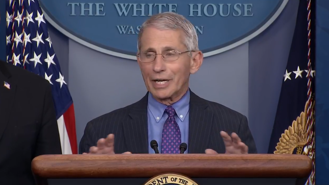 Fauci wins $1 million Israeli prize for ‘defending science’ - WSVN ...