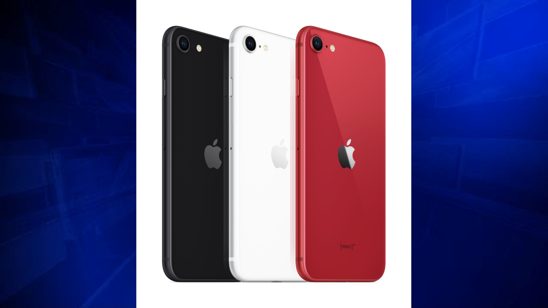 Apple unveils new budget iPhone - WSVN 7News | Miami News, Weather ...