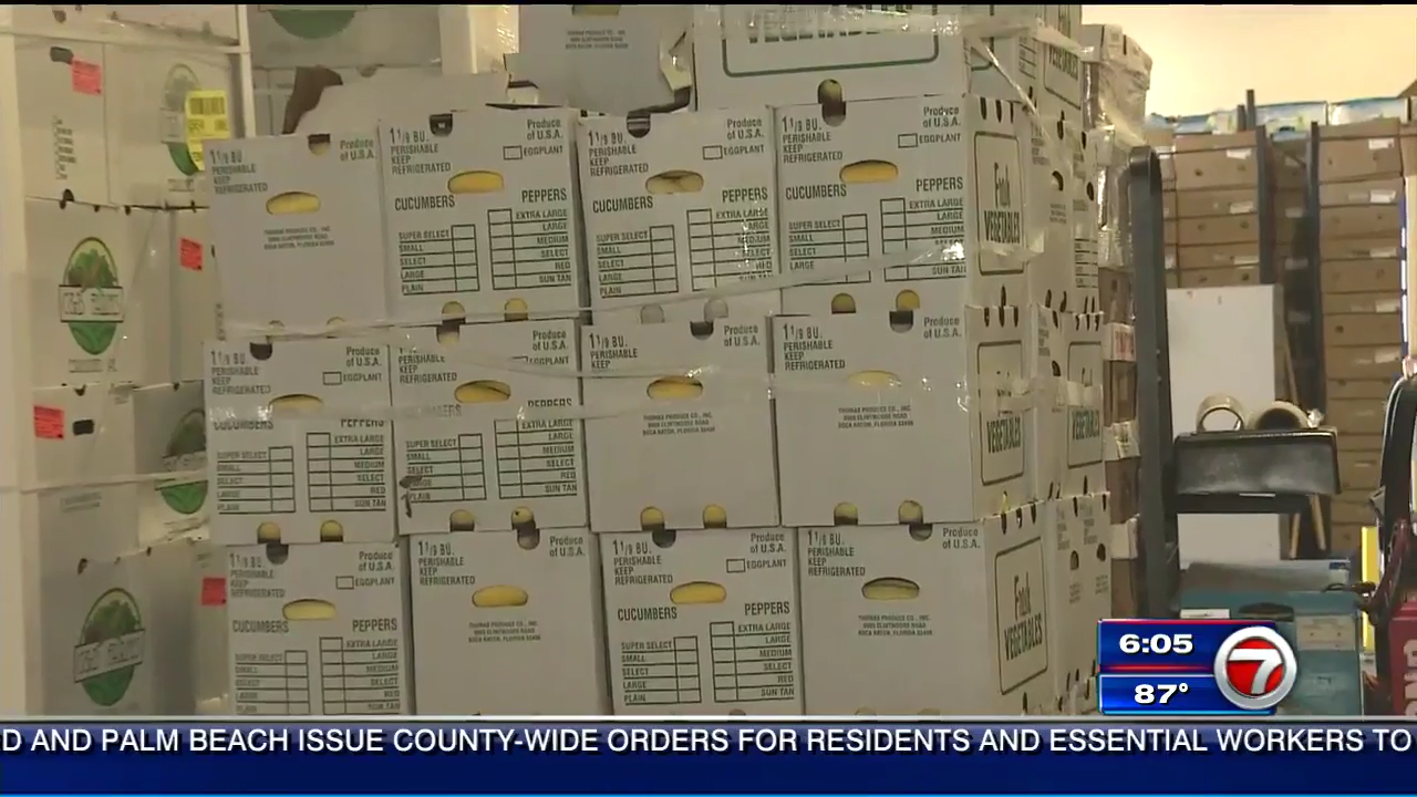 Publix providing meals after purchasing goods from farmers - WSVN 7News ...