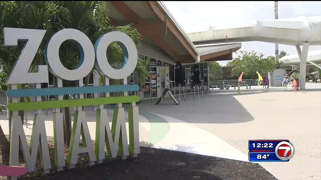 Zoo Miami closed through Thursday due to Hurricane Ian - WSVN 7News ...