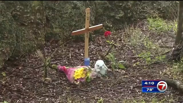 Community mourns death of boy with autism allegedly killed by mother ...