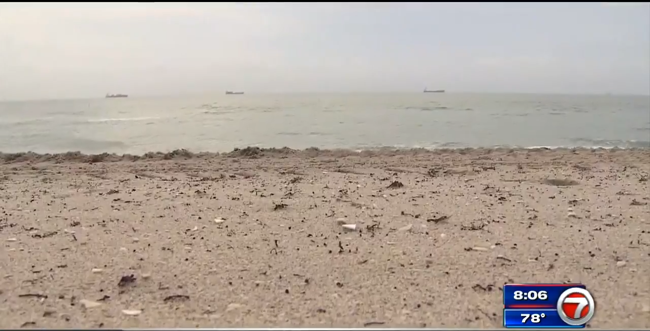 Beaches in Broward County reopen with restrictions - WSVN 7News | Miami ...