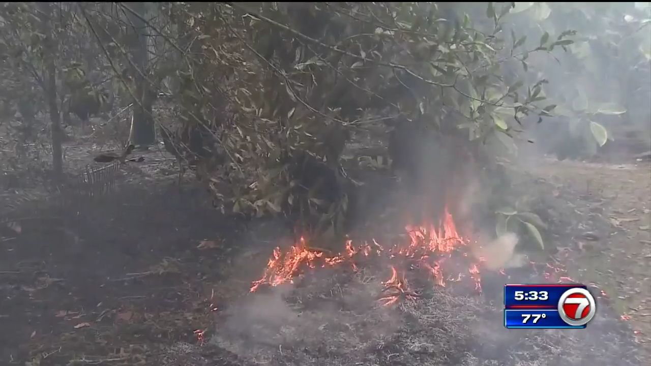 Brush fire burning in Collier County is 50% contained - WSVN 7News ...
