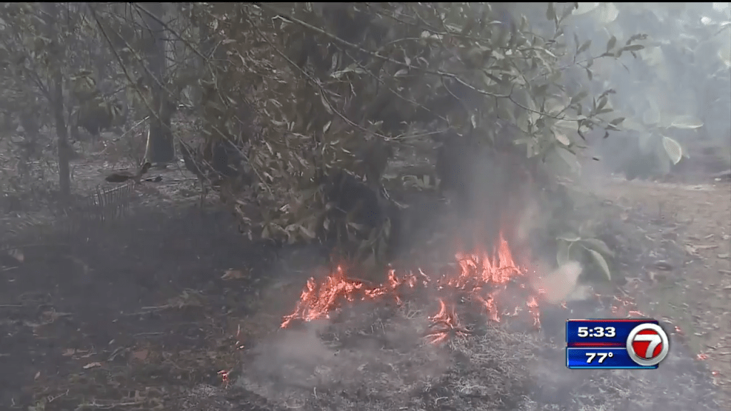 Brush fire burning in Collier County is 50% contained – WSVN 7News ...