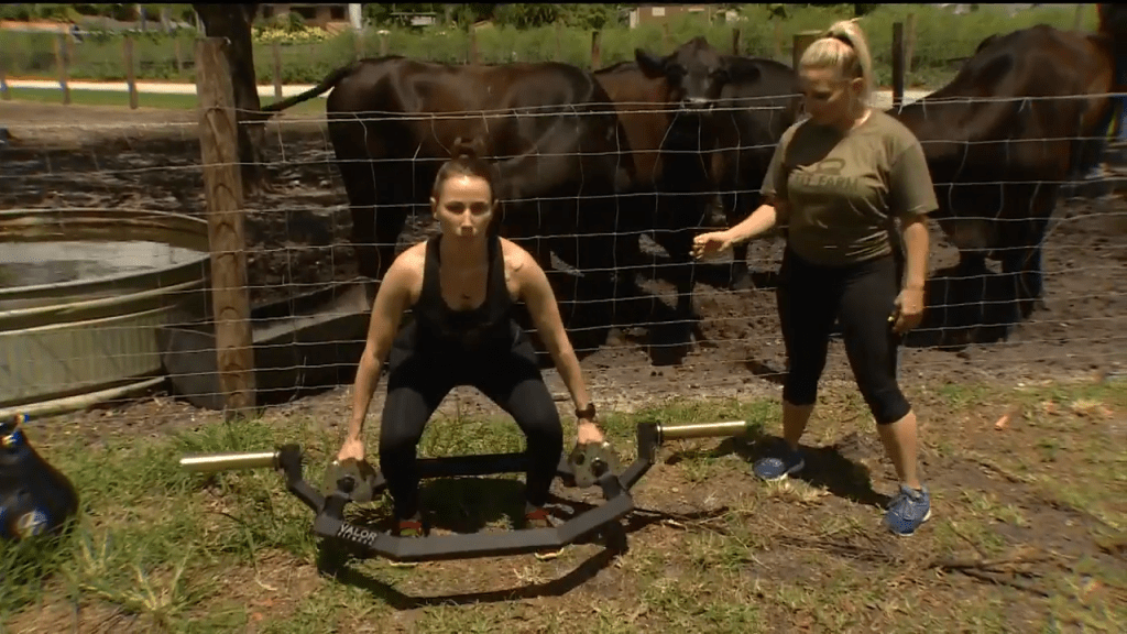 Fit Farm in Davie allows people to exercise alongside animals – WSVN ...