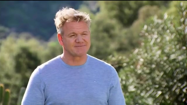 ‘9-1-1,’ Gordon Ramsay shows among Fox prime-time highlights - WSVN ...