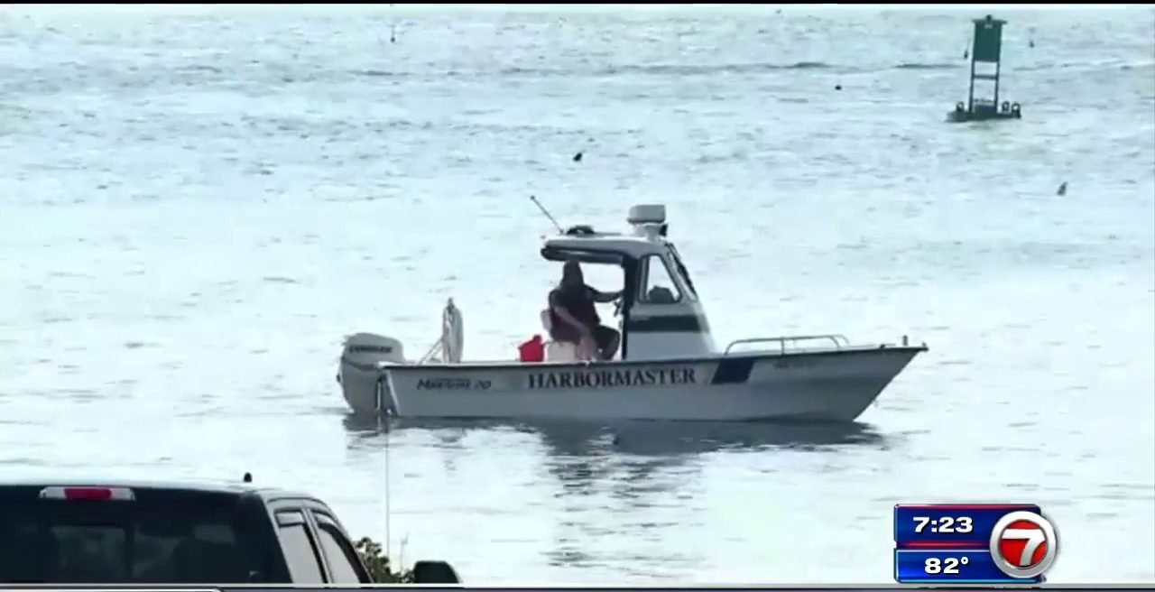 Woman killed in an apparent shark attack in Maine - WSVN 7News | Miami ...
