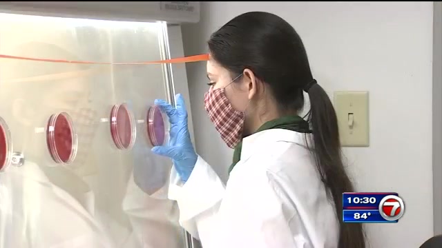 Mask Test: FAU microbiologist checks face coverings for protection ...