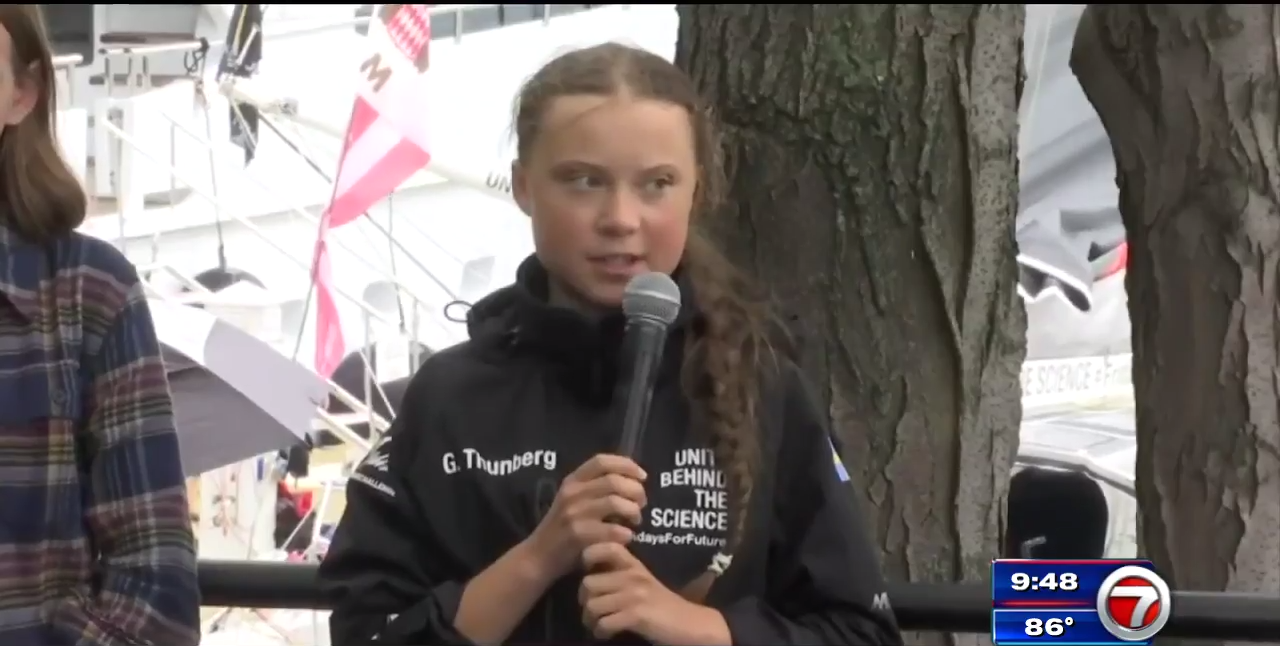 Israel seizes Gaza-bound aid boat Madleen, detaining Greta Thunberg and ...