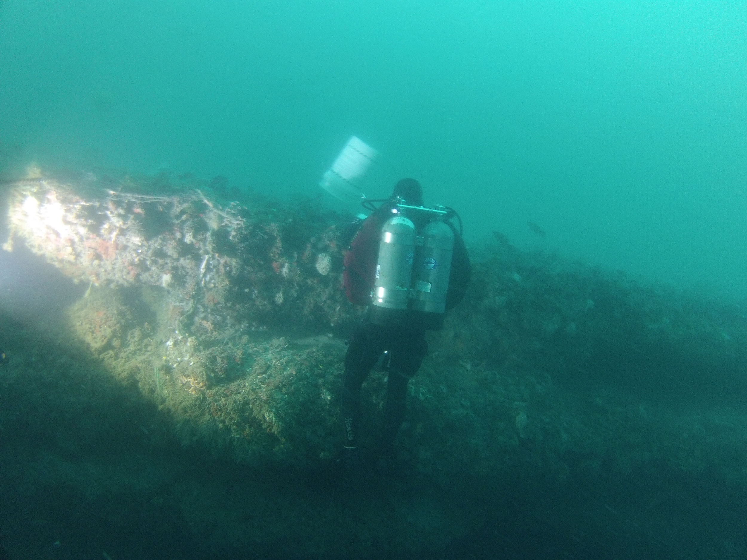 Scientists dive deep to explore mysterious ‘blue hole’ on the Florida ...