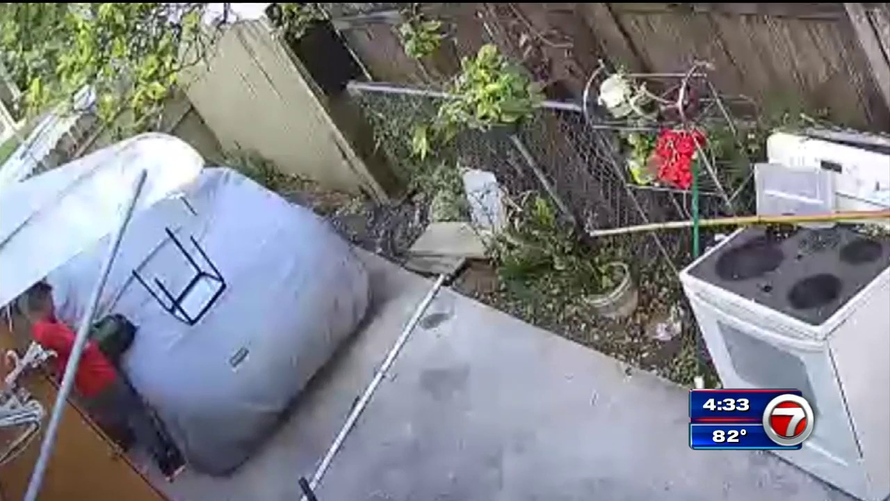 Police Searching For Burglar Who Targeted Home In Miami Wsvn 7news