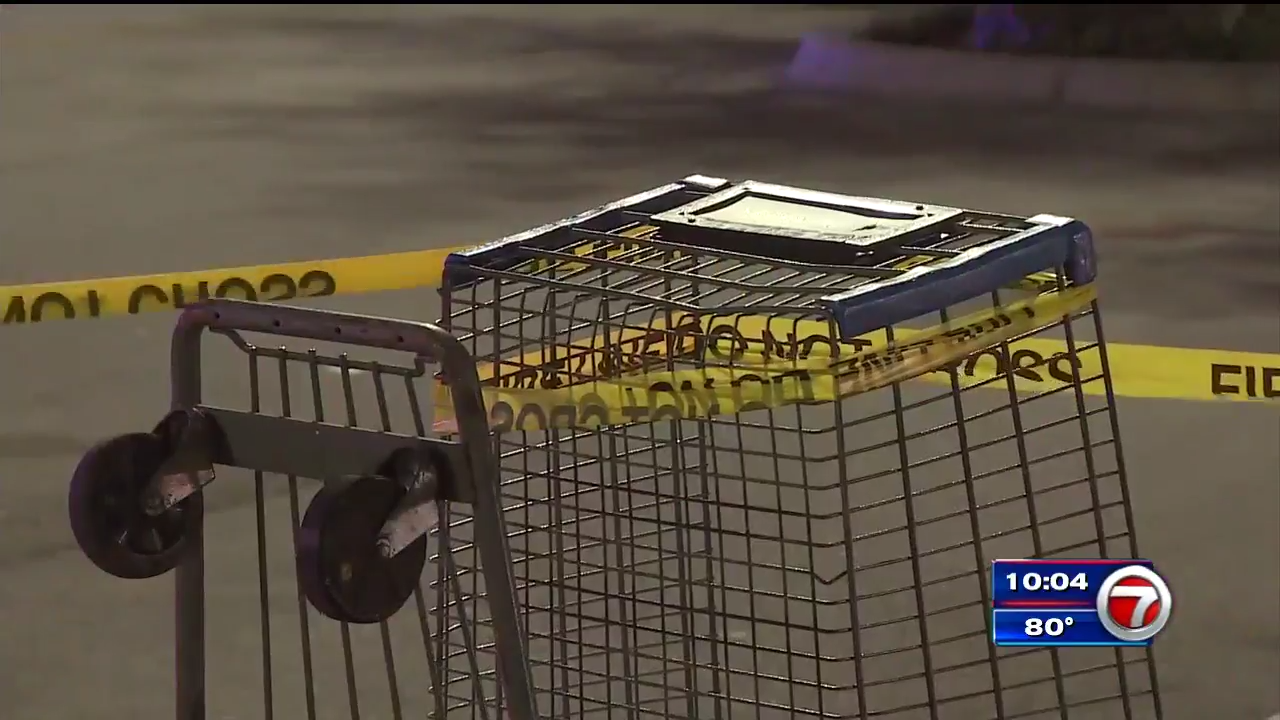 Shots fired at Fort Lauderdale shopping plaza during attempted robbery ...