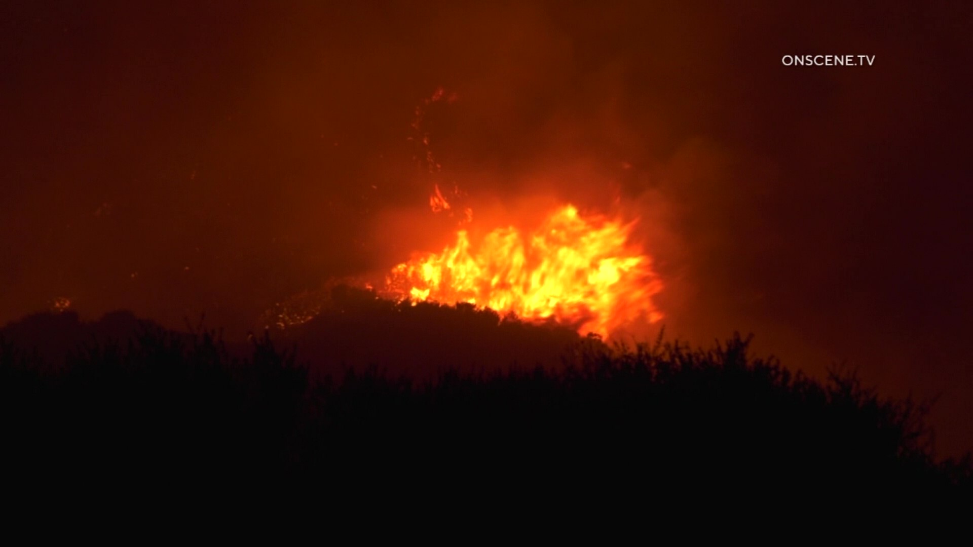 Woman who popularized the gender reveal party says enough already after ...