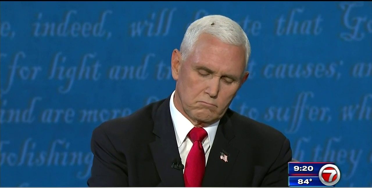 Fly on Pence’s head generates buzz in VP debate - WSVN 7News | Miami ...