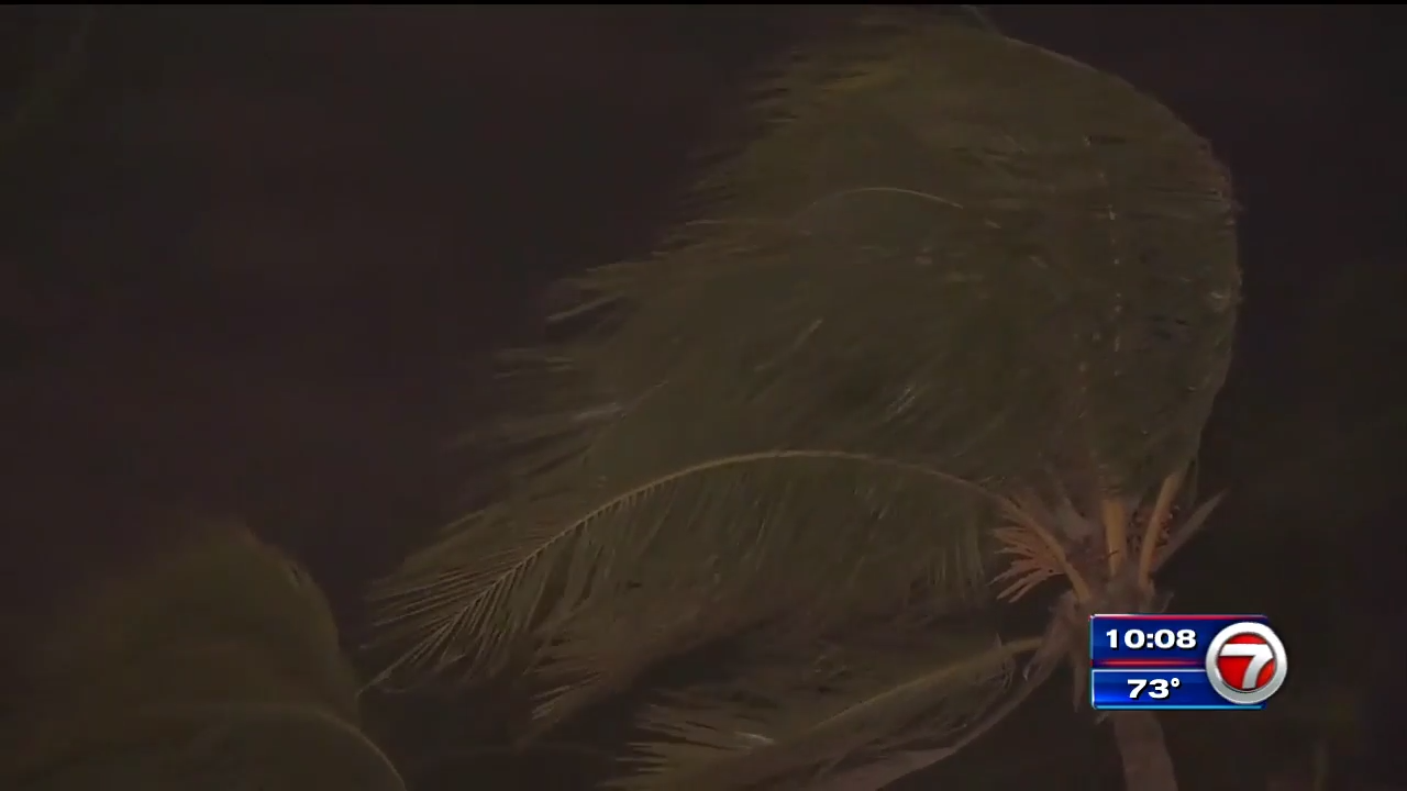 Strong winds blow Miami into fall weather - WSVN 7News | Miami News ...