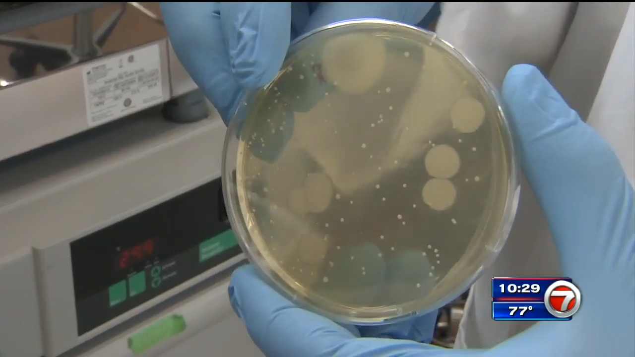 Masking the Problem: Is there harm in wearing a mask a few days in a ...