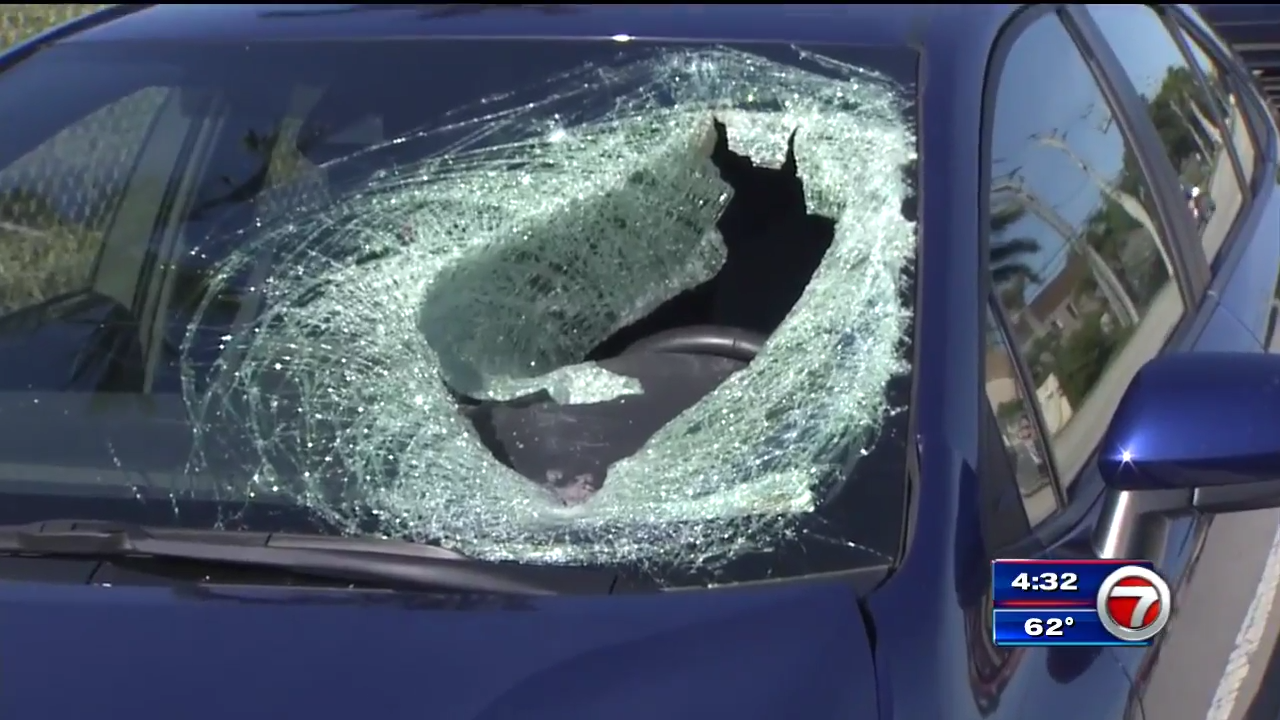 Man Dies After Hit And Run In Hialeah Gardens Wsvn 7news Miami News