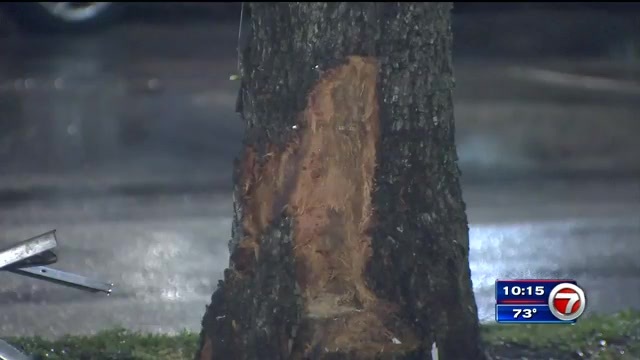 Passenger killed after McLaren crashes into trees in Fort Lauderdale ...