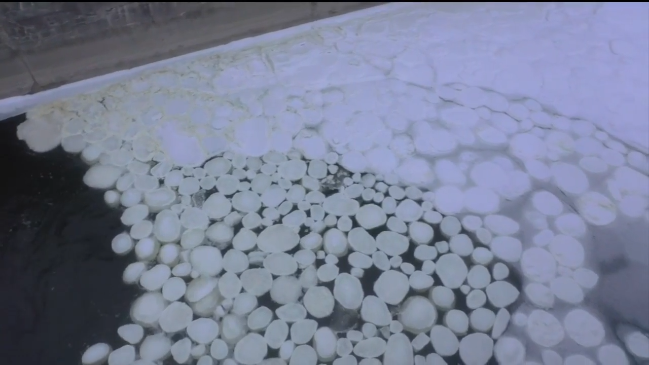 It’s so cold, rare ‘Pancake Ice’ is forming - WSVN 7News | Miami News ...