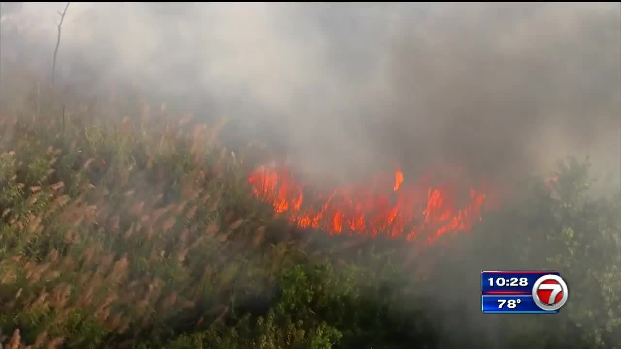 Officials: Grass fire burns at least 10 acres in South Miami-Dade ...