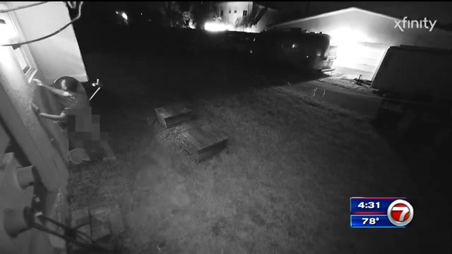 Peeping Tom Caught On Surveillance Peeking Into Hollywood Home Suspect