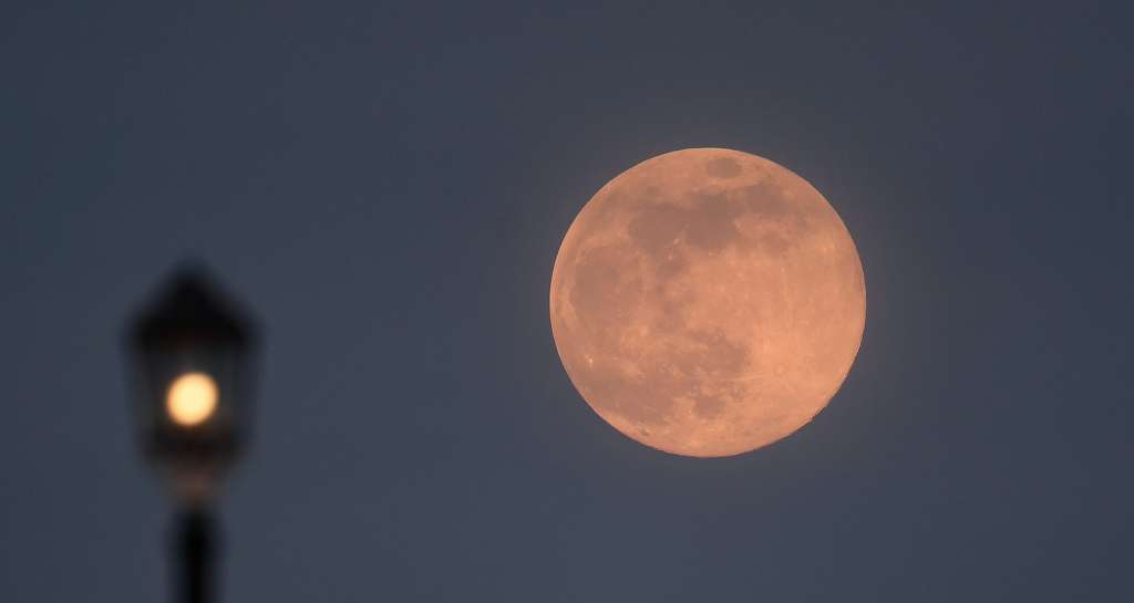 “Pink” supermoon to light up night sky tonight – WSVN 7News | Miami ...