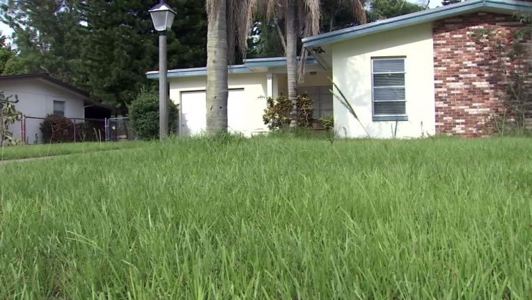 Court upholds city’s $30,000 fine for Florida man’s overgrown lawn ...