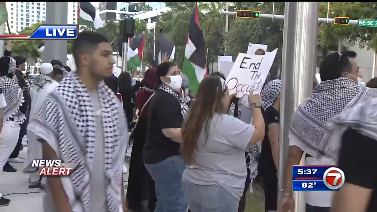 Demonstrators gather to protest Israel-Palestine conflict in Fort ...