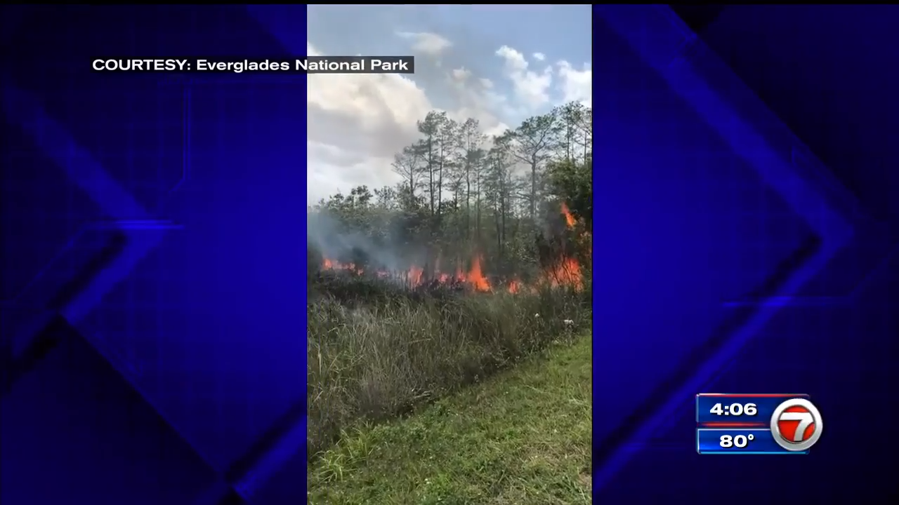Officials offer $10K reward for info leading to possible Everglades ...