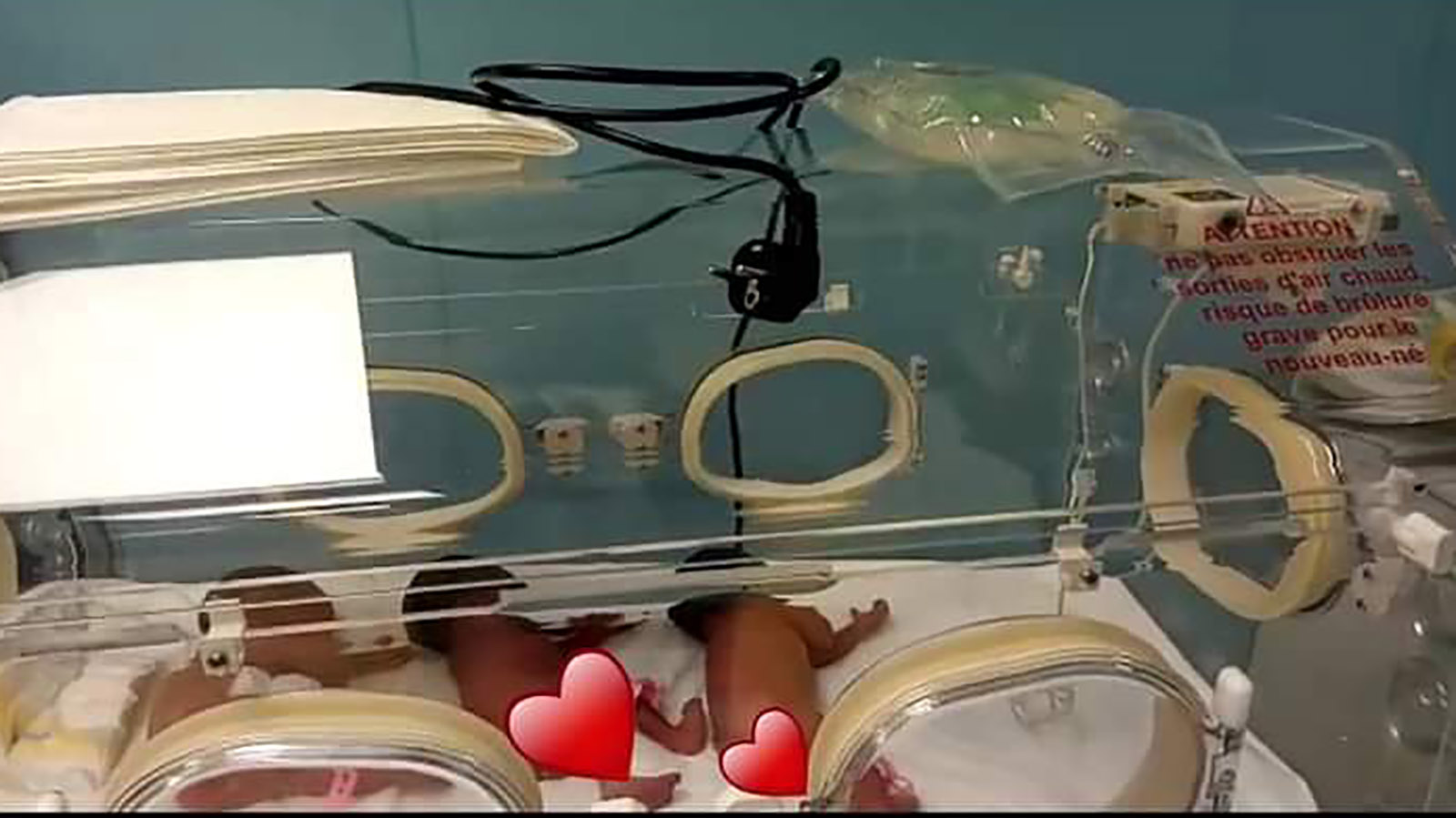 Mali woman expecting 7 babies actually gives birth to 9 children - WSVN ...