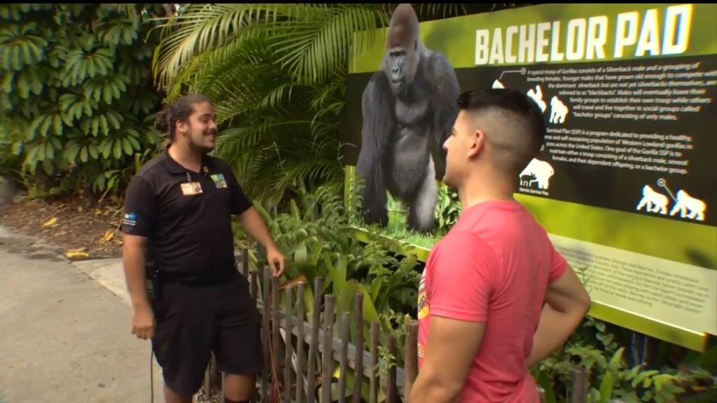 Zoo Miami’s VIP tour comes with a personal tour guide, golf cart and ...