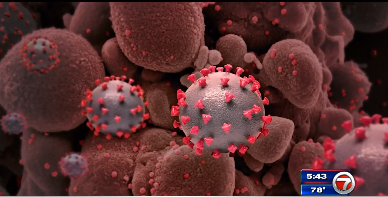 Spread of the Delta variant may make it even harder to reach herd ...