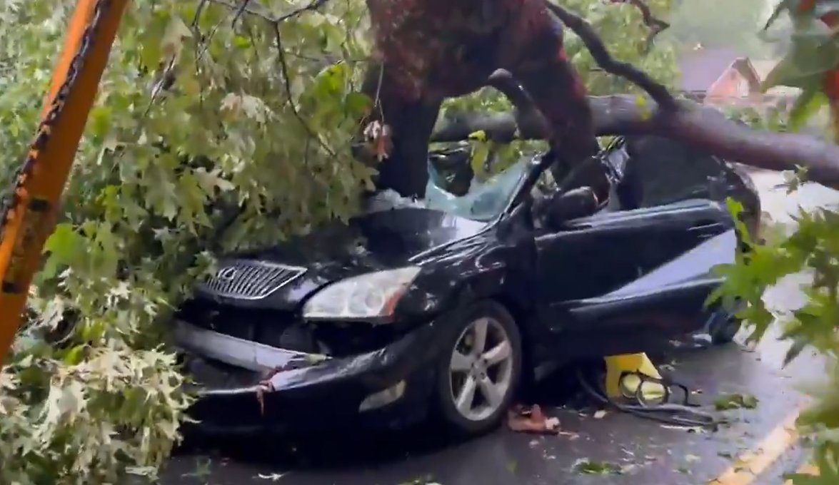 Tree crushes car in Atlanta, woman rescued taken to the hospital - WSVN ...