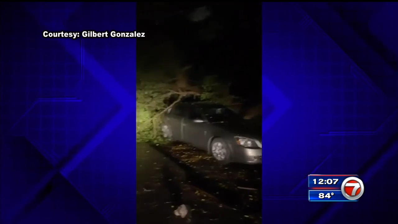 Toppled trees and stalled cars in Miami-Dade County as Tropical Storm ...
