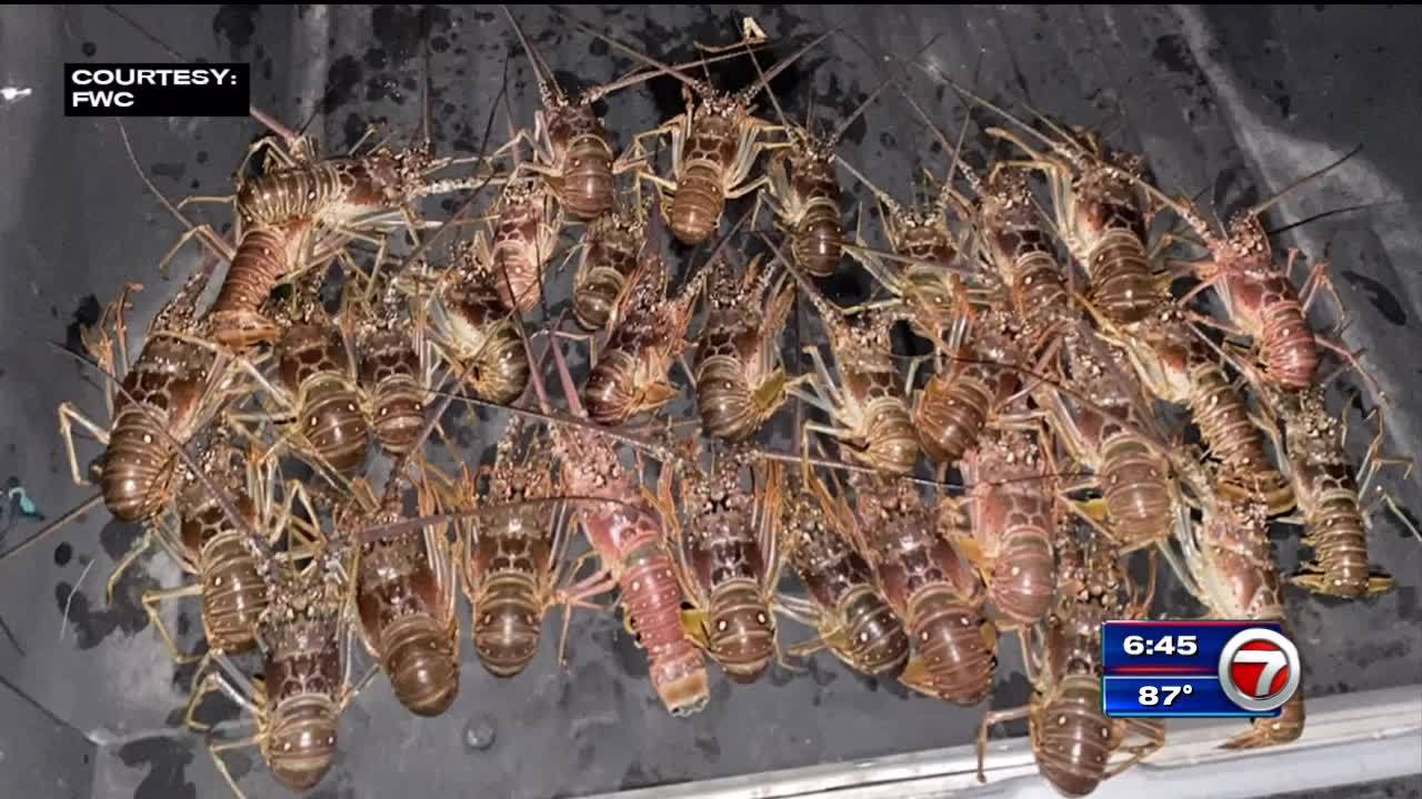 Man arrested, faces multiple charges after FWC finds stash of 39 ...