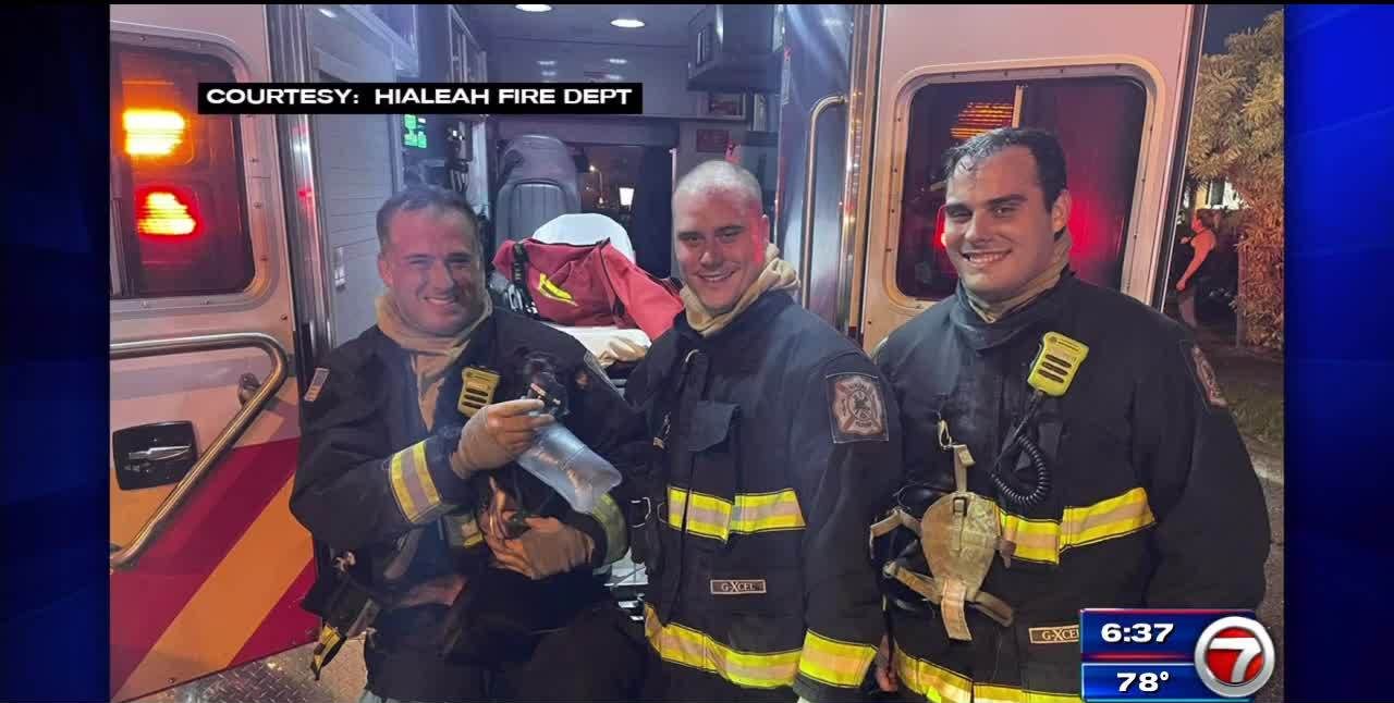 Firefighters put out fire inside Hialeah home, rescue small dog - WSVN ...