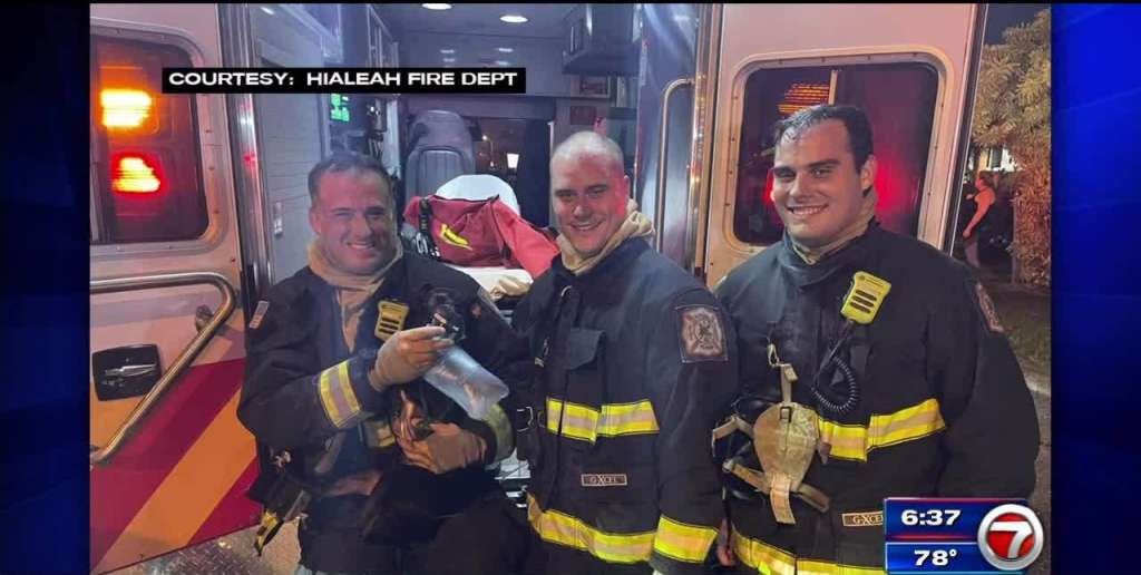 Firefighters put out fire inside Hialeah home, rescue small dog – WSVN ...