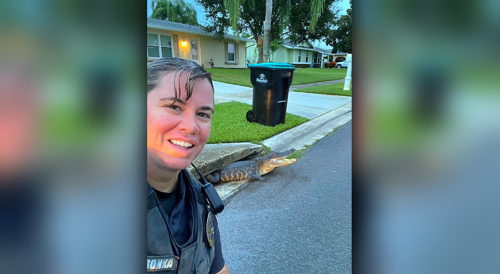 Alligator stuck in sewer drain ‘smiles’ for photo with officer - WSVN ...