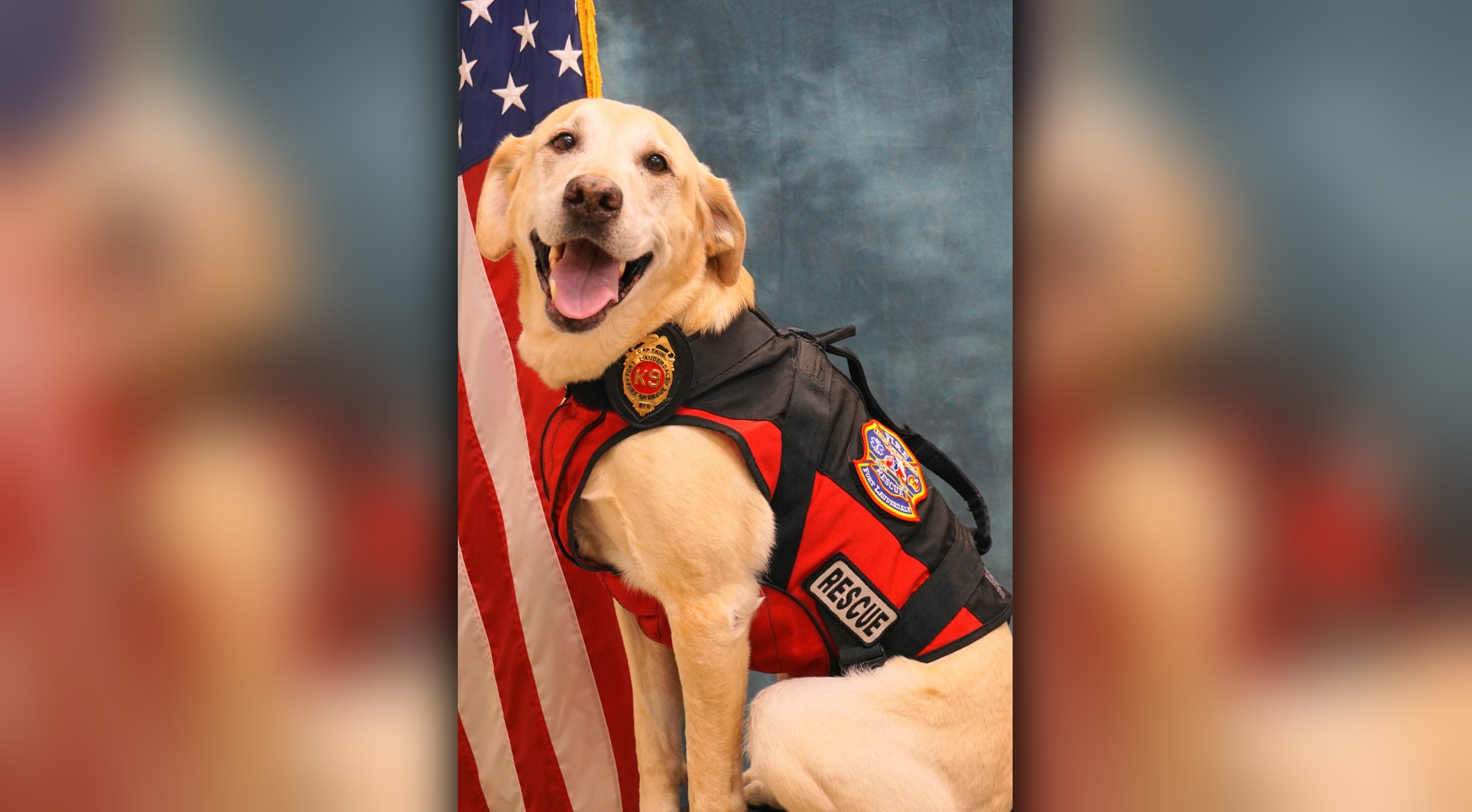 Fort Lauderdale Fire Rescue K9 who helped at Surfside site retires ...
