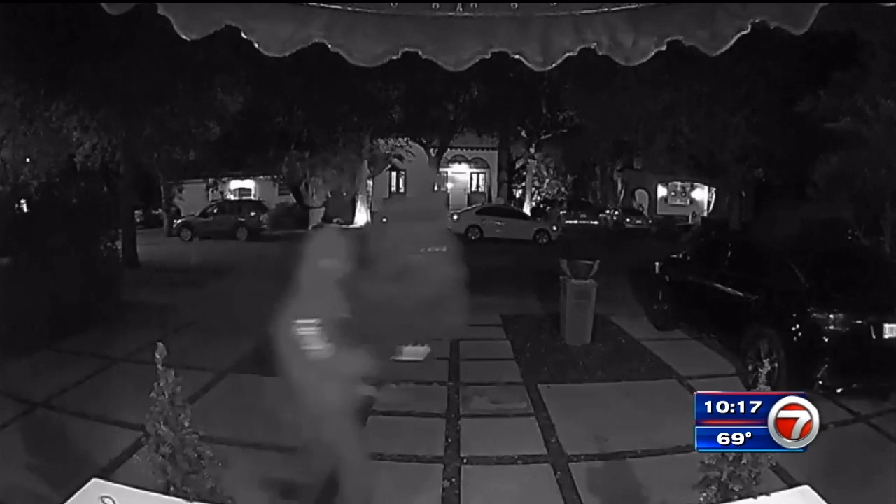 Surveillance video shows thief stealing Christmas trees from Coral ...