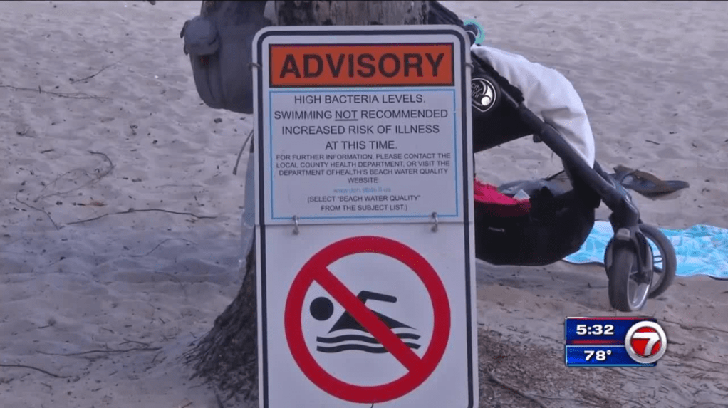 Bacteria found in Hollywood Beach, no swim advisory issued – WSVN 7News ...
