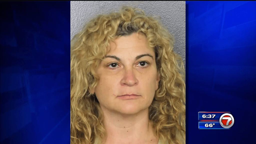 Woman faces judge after striking several people at Hollywood sidewalk ...