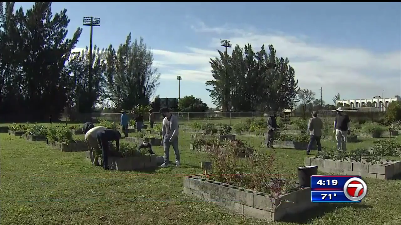 2nd day of service for Miami Dade college students honoring Dr. Martin ...