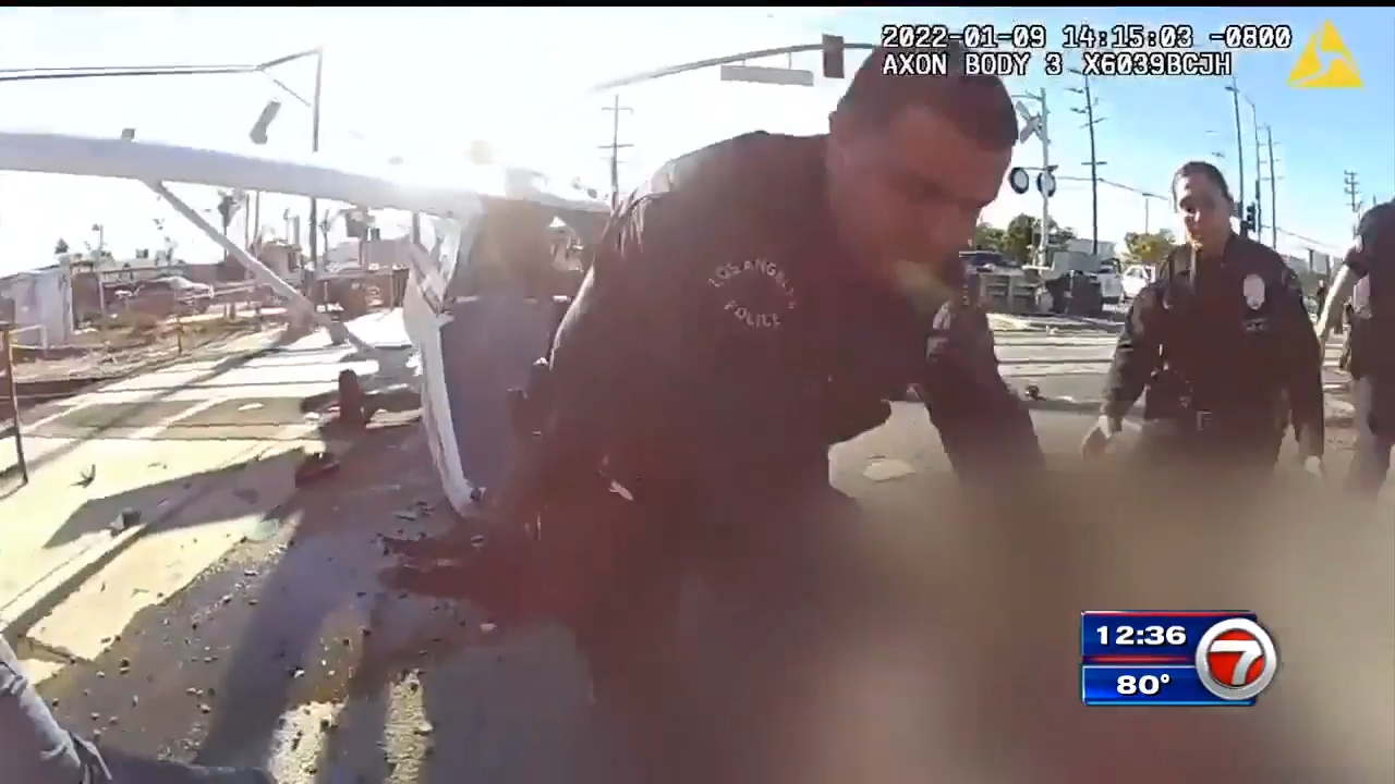 Pilot rescued from wreckage in LA moments before train hits - WSVN ...