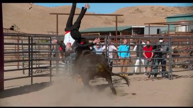 ‘Jackass Forever’ laughs its way to No. 1 at box office - WSVN 7News ...