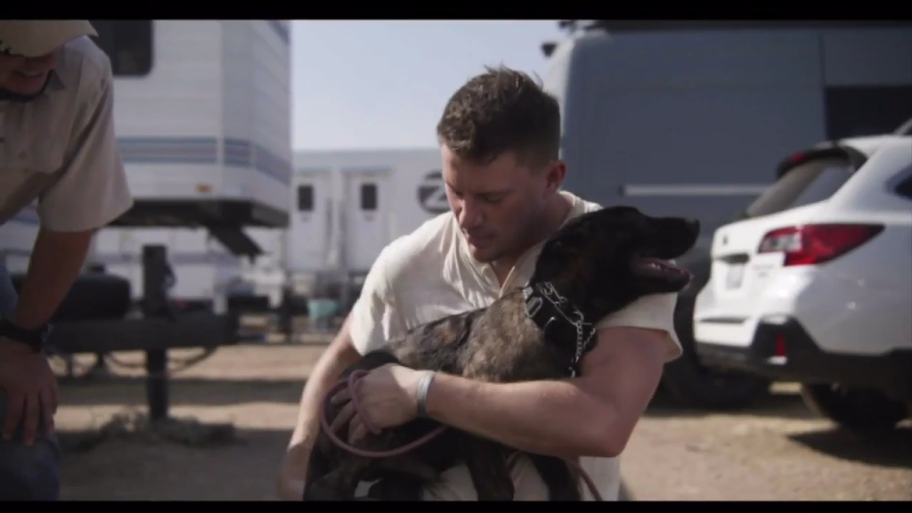 Channing Tatum pulls double ‘Dog’ duty as star, co-director of new ...