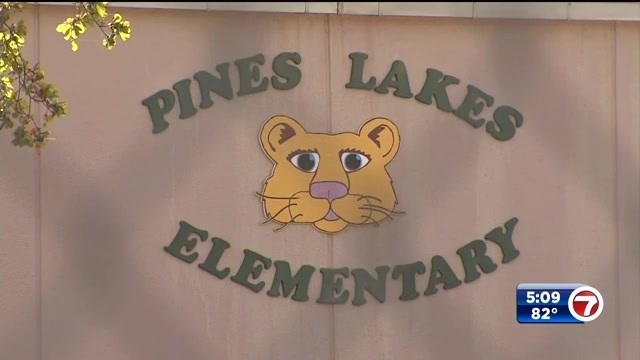 Police release 911 calls after 5-year-old student attacked teacher at Pine Lakes Elementary ...