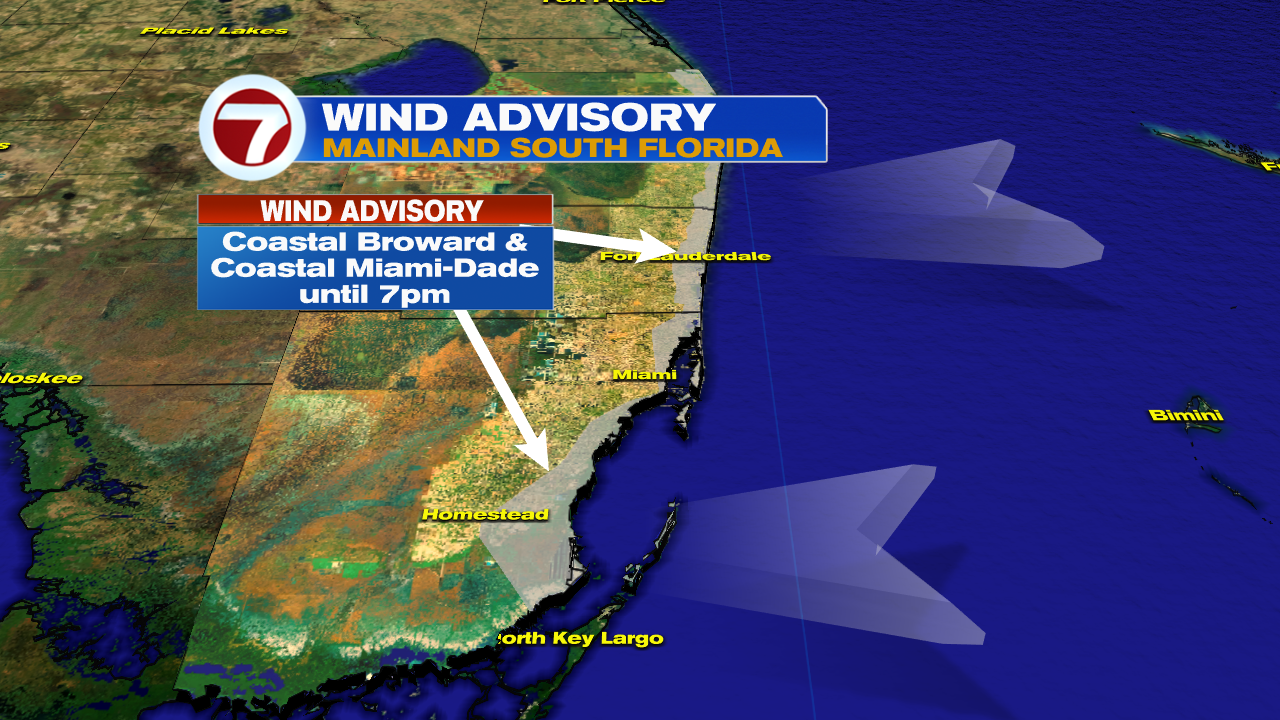 WIND ADVISORY FOR SOUTH FLORIDA - WSVN 7News | Miami News, Weather ...