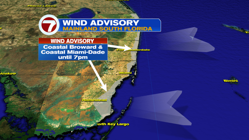 WIND ADVISORY FOR SOUTH FLORIDA - WSVN 7News | Miami News, Weather ...